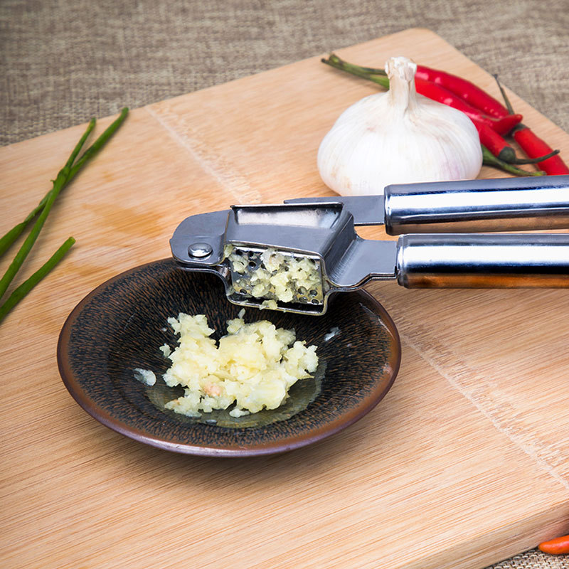 Buy Household garlic press mashing garlic masher for mashing garlic ...
