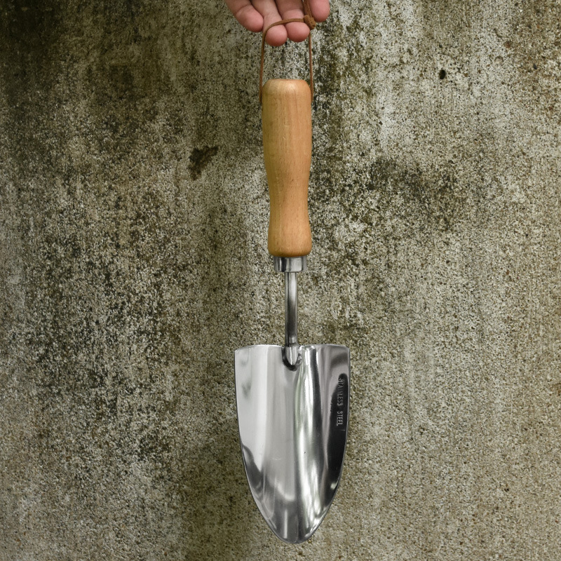 Buy Chain brother stainless steel shovel small planting fleshy planting ...