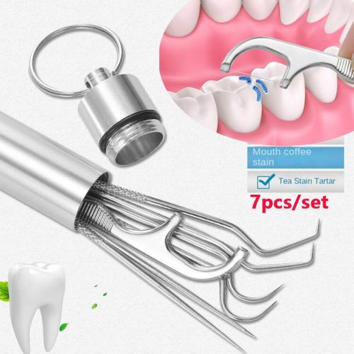 Buy 7Pcs Portable Stainless Steel Toothpicks Pocket Set Reusable Metal ...